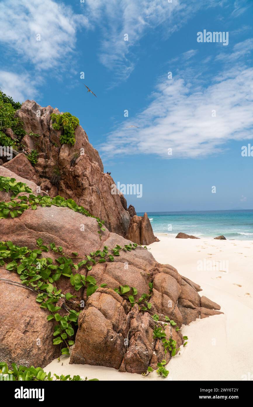 Aride island hi-res stock photography and images - Alamy