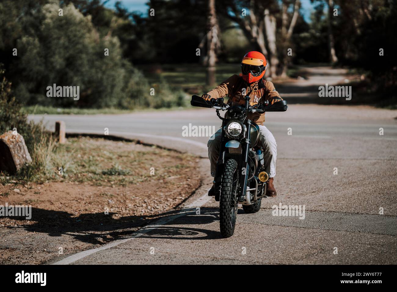 Road rider tree lined road hi-res stock photography and images - Alamy