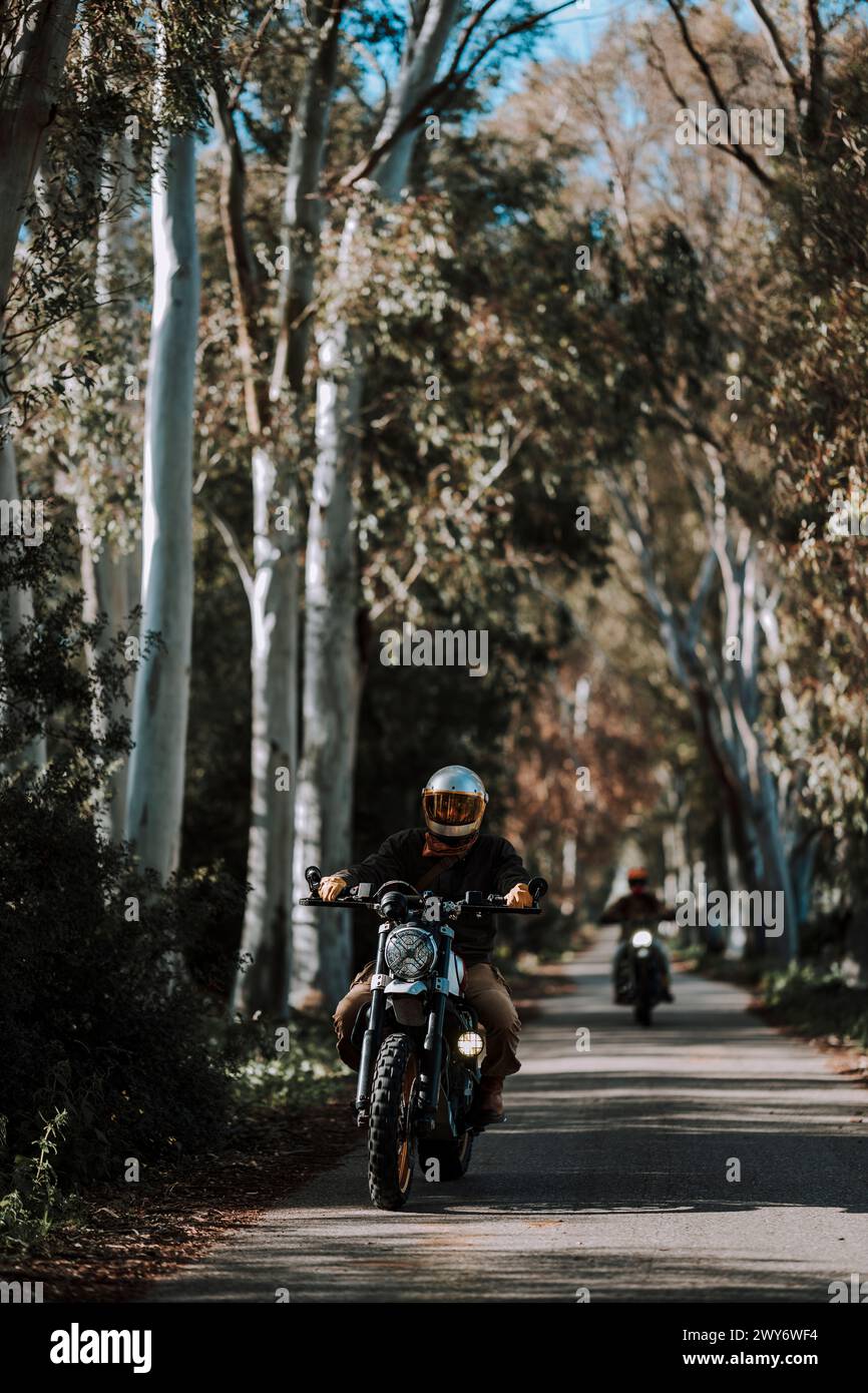 Road rider tree lined road hi-res stock photography and images - Alamy