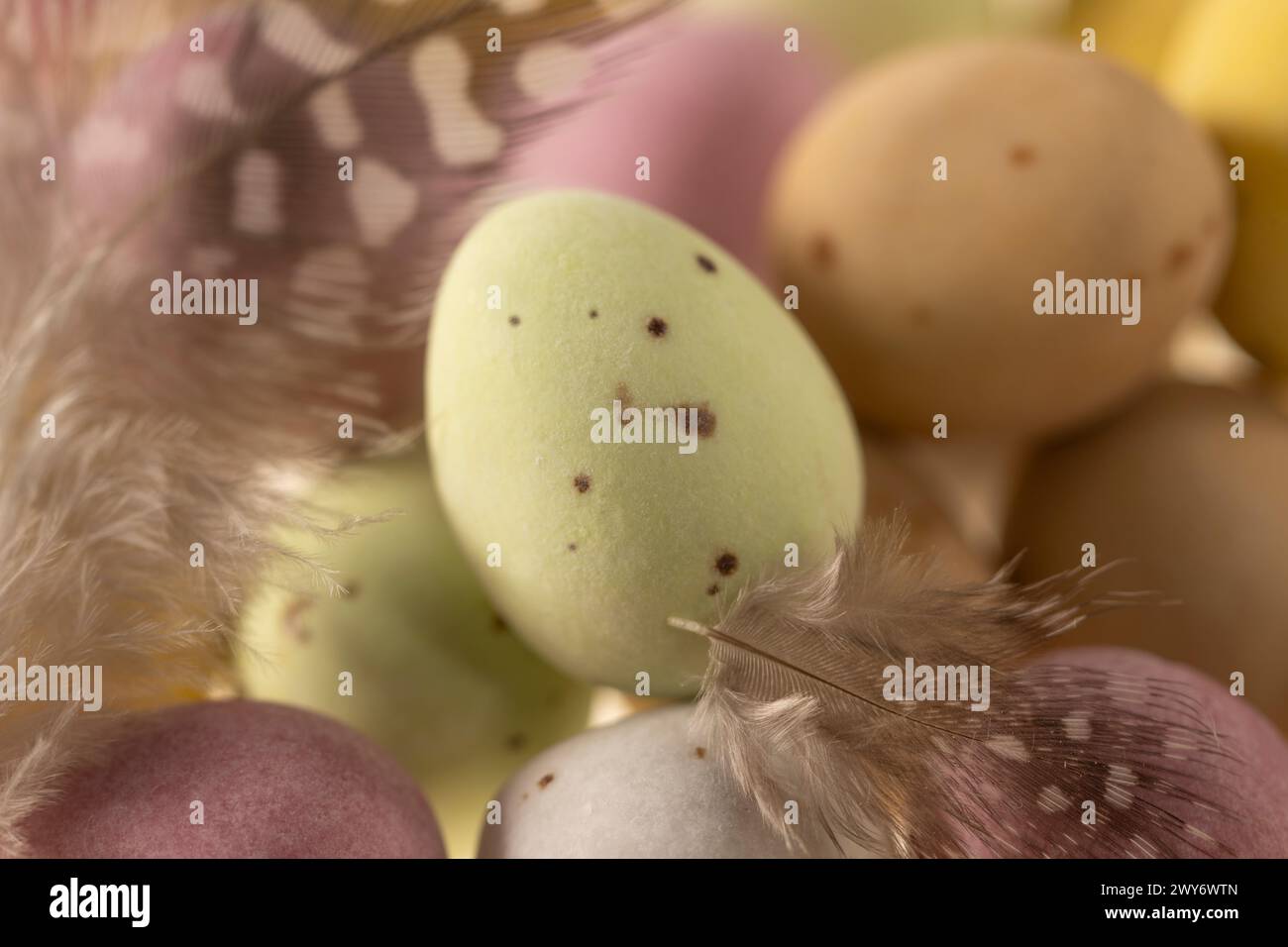 Close-up of pastel coloured, sugar coated mini eggs and feathers Stock ...