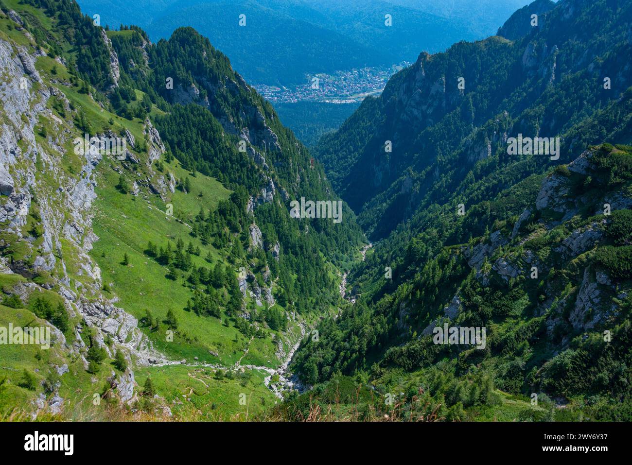 Summer day at Caraiman valley leading to Bucegi mountains near Busteni ...