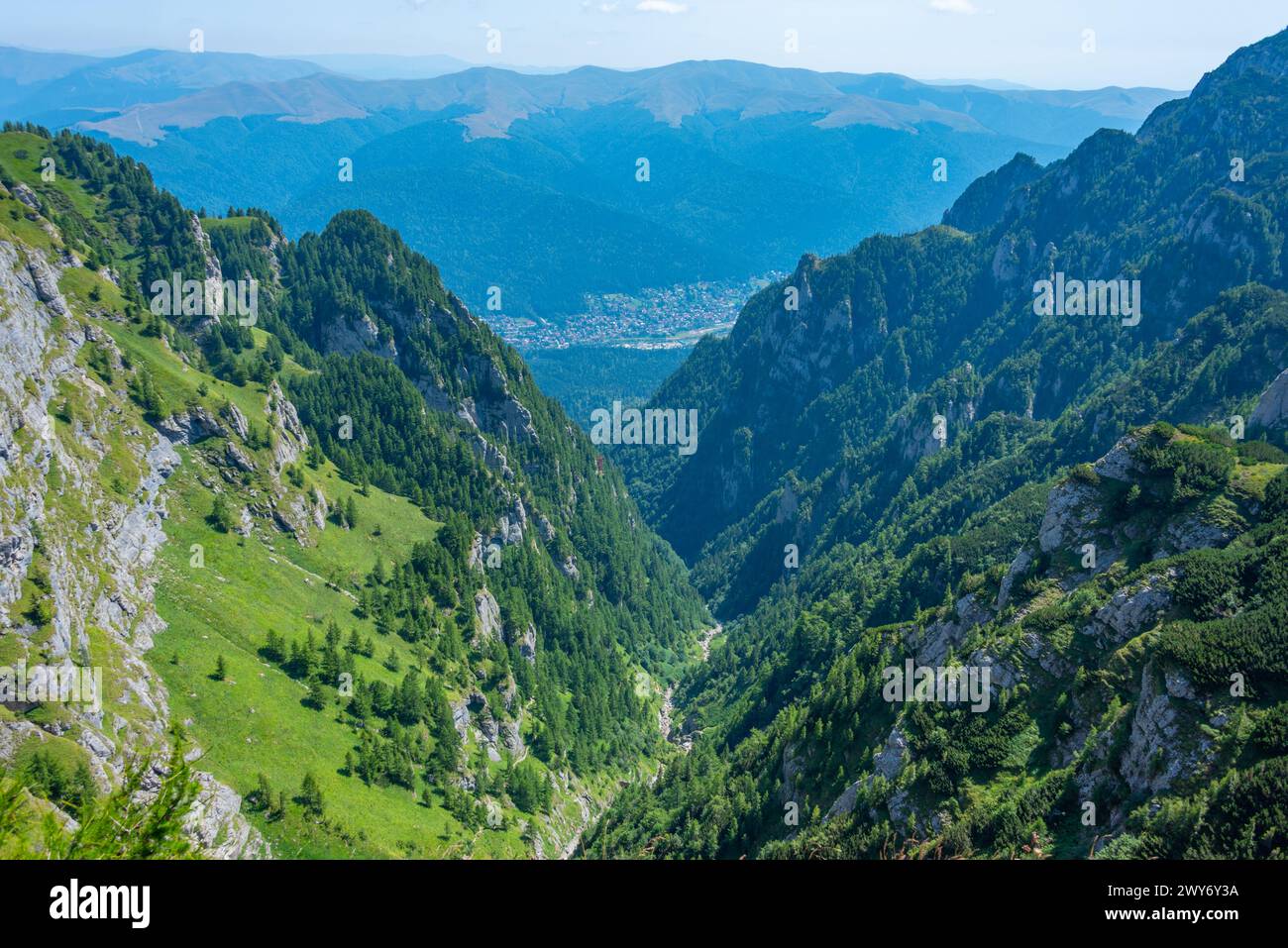 Summer day at Caraiman valley leading to Bucegi mountains near Busteni ...