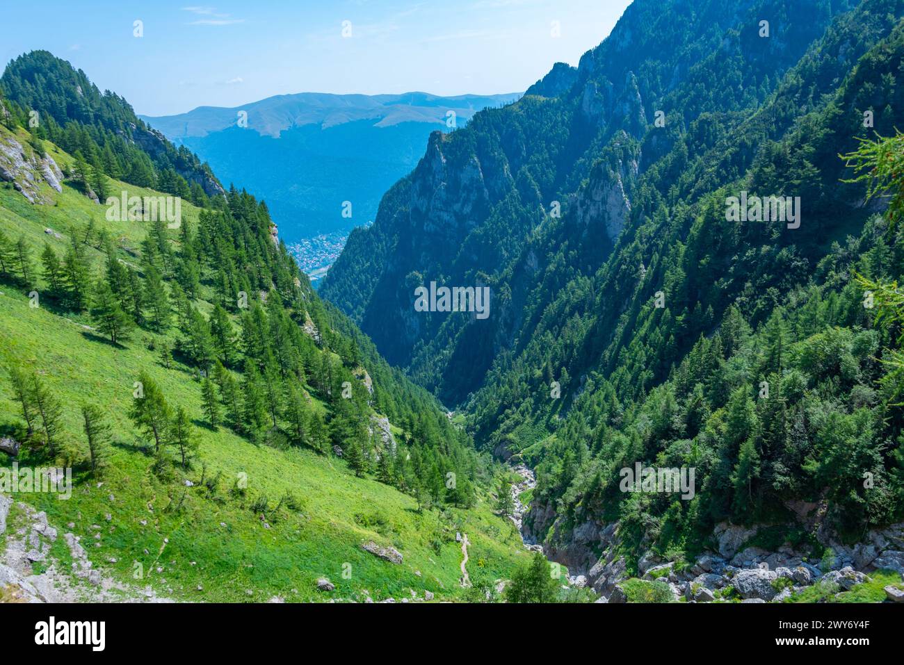 Summer day at Caraiman valley leading to Bucegi mountains near Busteni ...