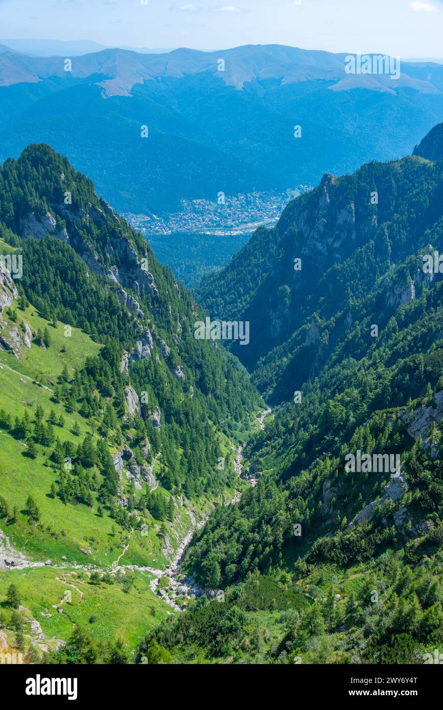 Summer day at Caraiman valley leading to Bucegi mountains near Busteni ...