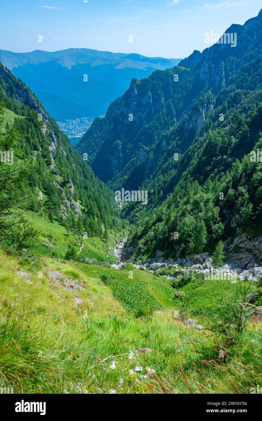 Summer day at Caraiman valley leading to Bucegi mountains near Busteni ...