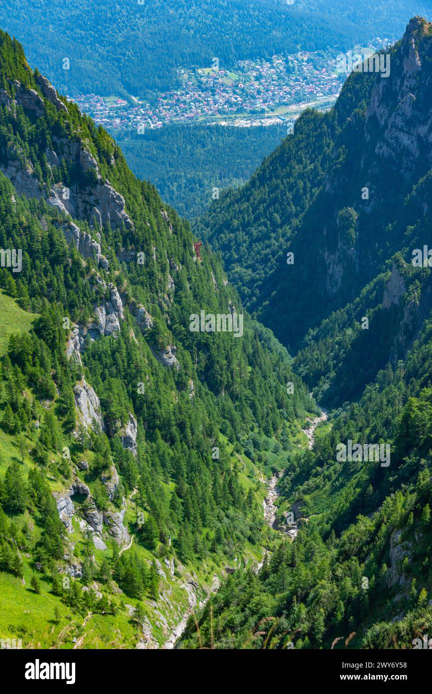 Summer day at Caraiman valley leading to Bucegi mountains near Busteni ...