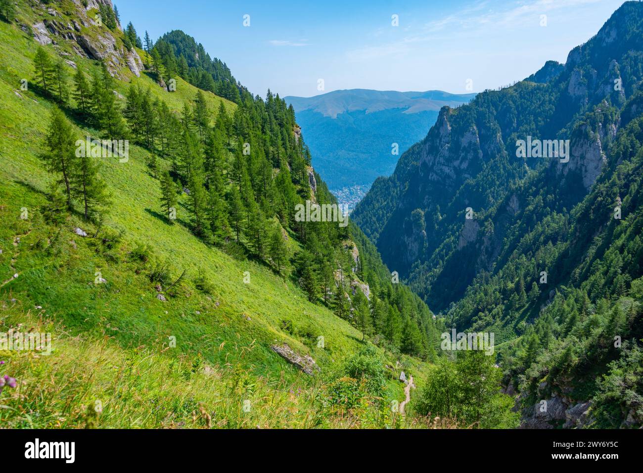 Summer day at Caraiman valley leading to Bucegi mountains near Busteni ...