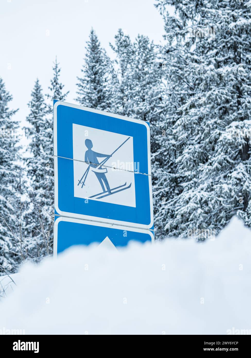 A blue and white road sign featuring a skier symbol, indicating the ...