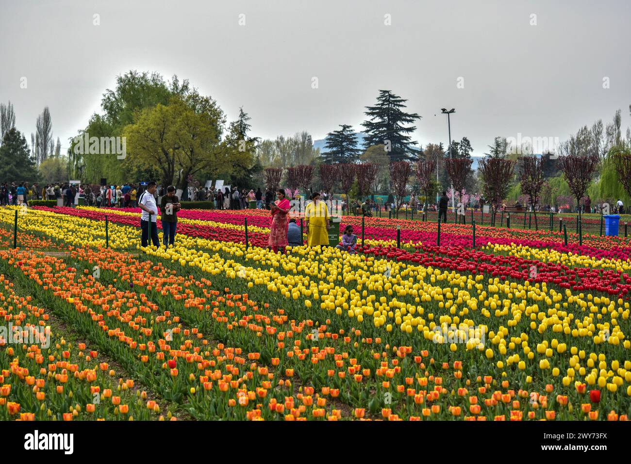Srinagar, India. 04th Apr, 2024. Visitors explore the Asia's largest ...