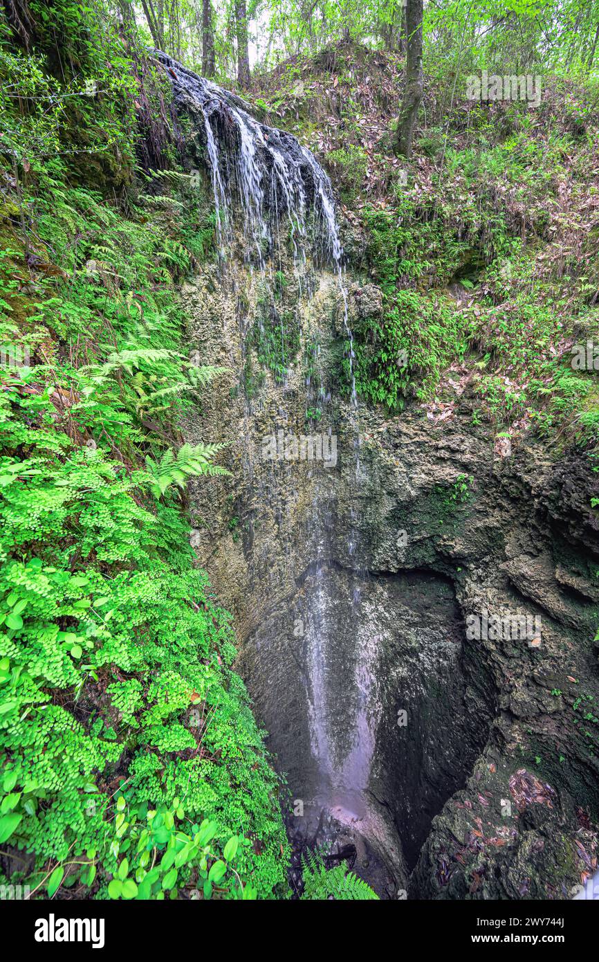 "Nature's Cascade: Behold the majestic waterfall at Falling Waters ...