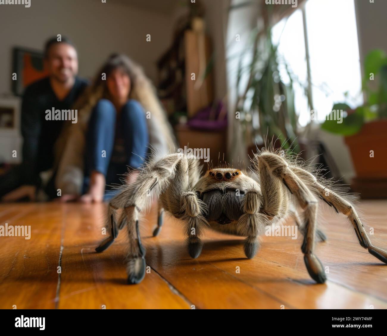 A man and woman sitting on the floor with a spider close by Stock Photo ...