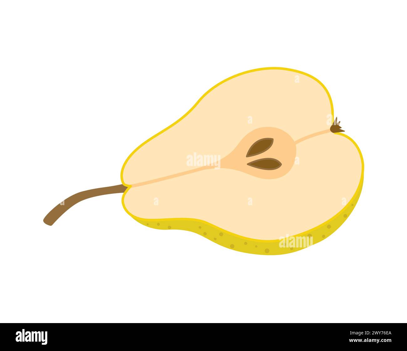 Sliced juicy pear cartoon style. Modern flat illustration chopped pear ...