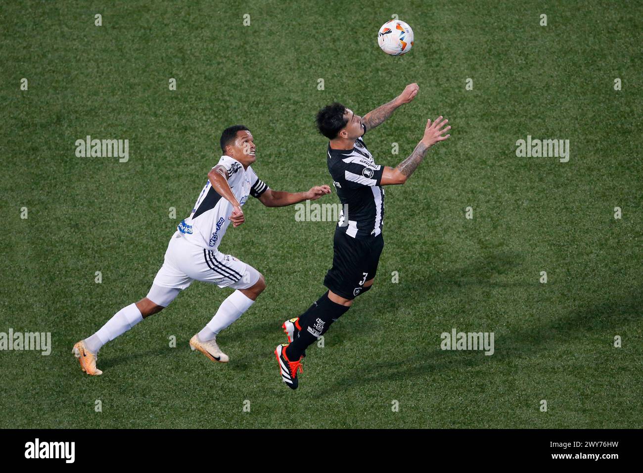 3rd April 2024, Rio de Janeiro, Brazil. Lucas Halter of Botafogo ...