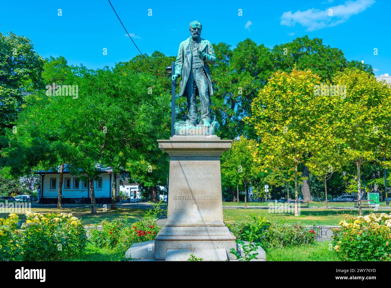 Josip pancic hi-res stock photography and images - Alamy