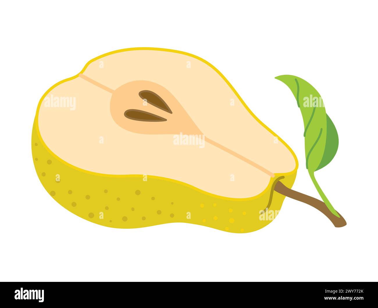 Sliced juicy pear cartoon style. Fresh pear with leaves. Modern flat ...