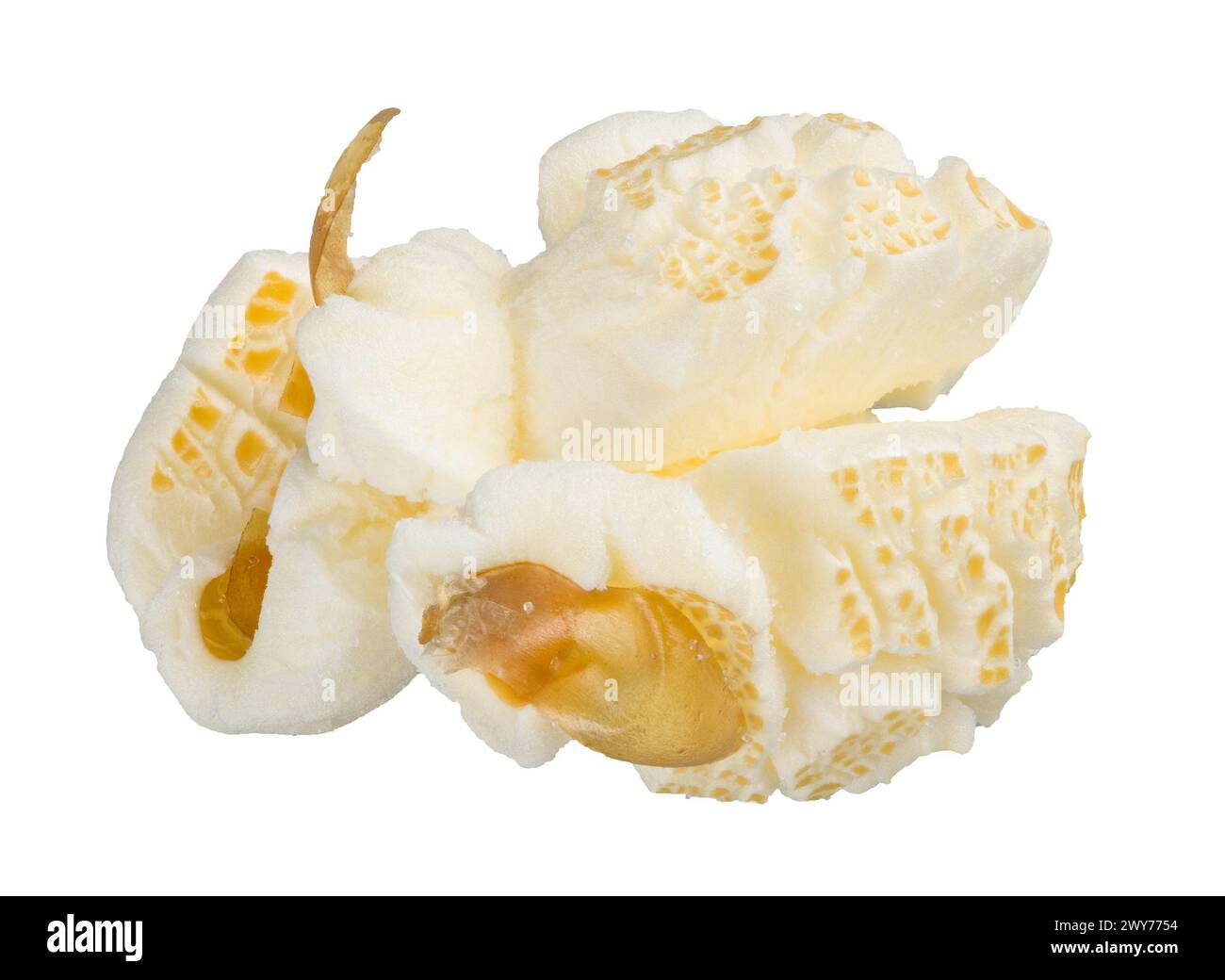 Single popcorn seed, macro shot isolated on white background Stock ...