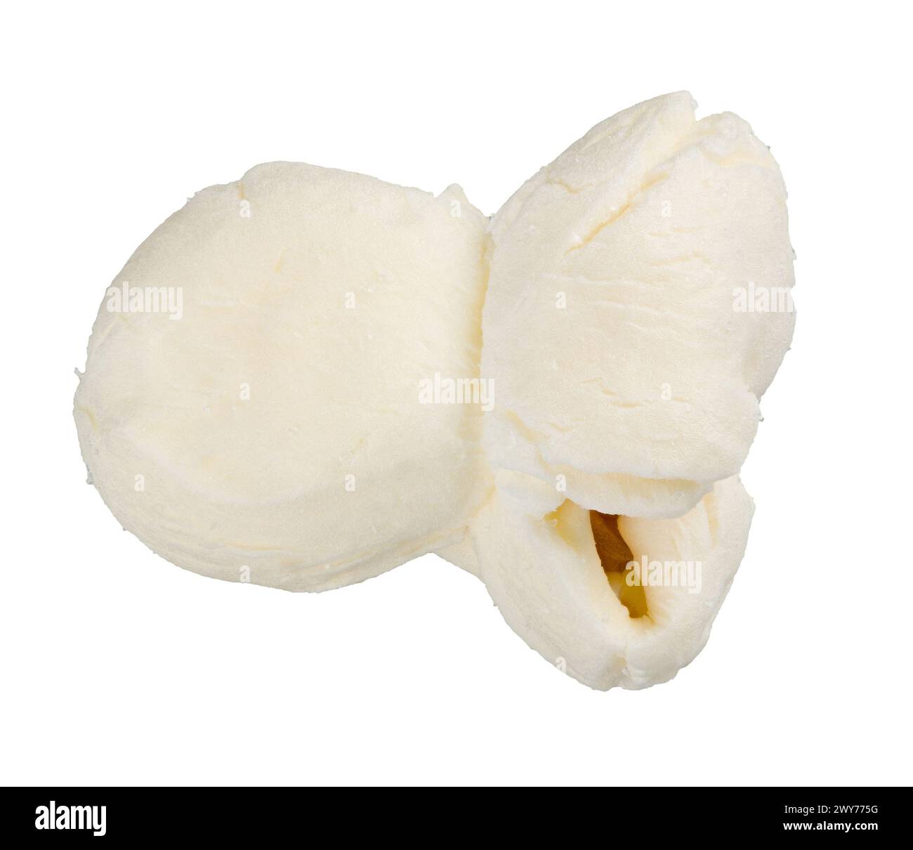 Single popcorn seed, macro shot of salted or caramel pop corn isolated ...