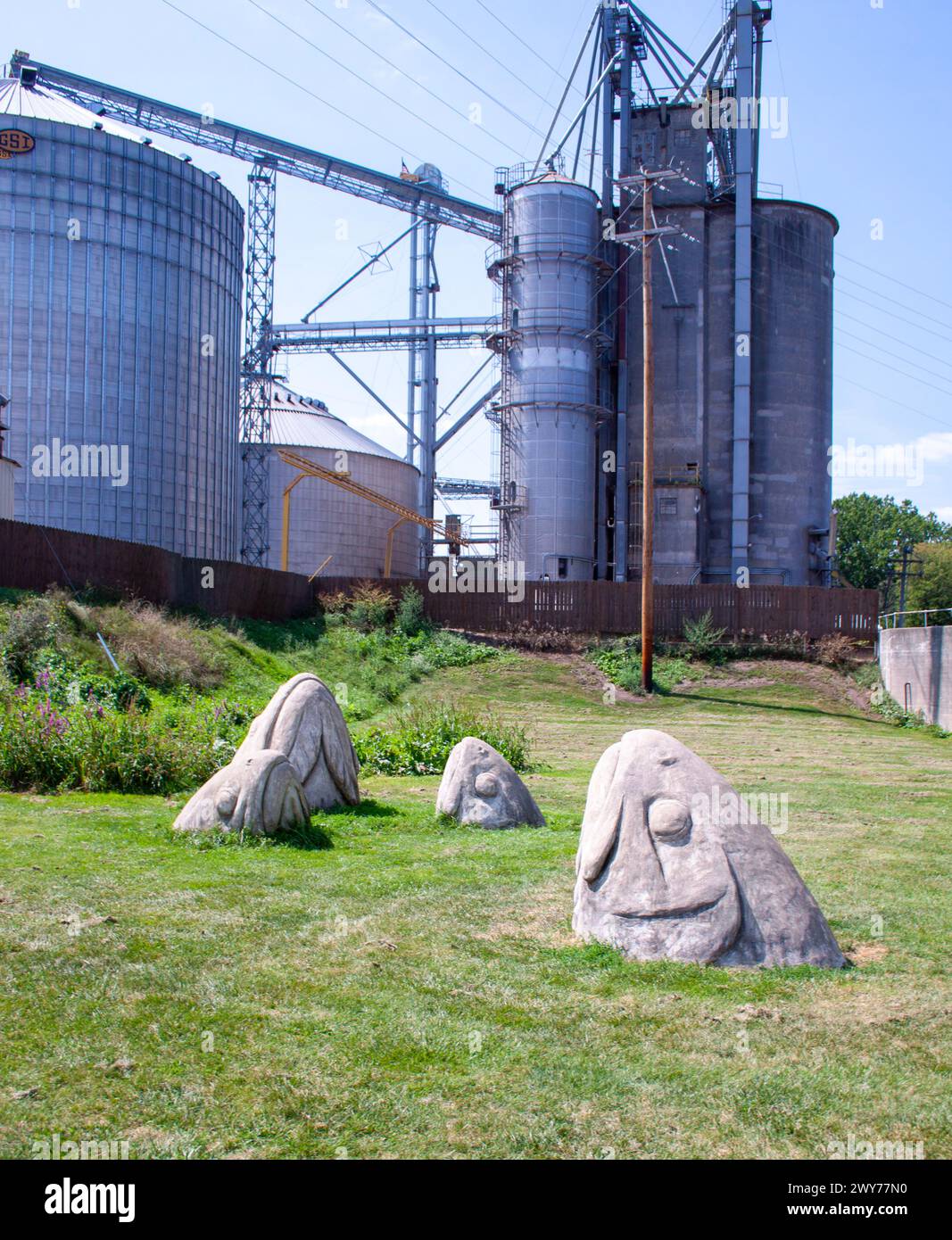 Fish Heads in a Park in Newaygo, Michigan Stock Photo - Alamy