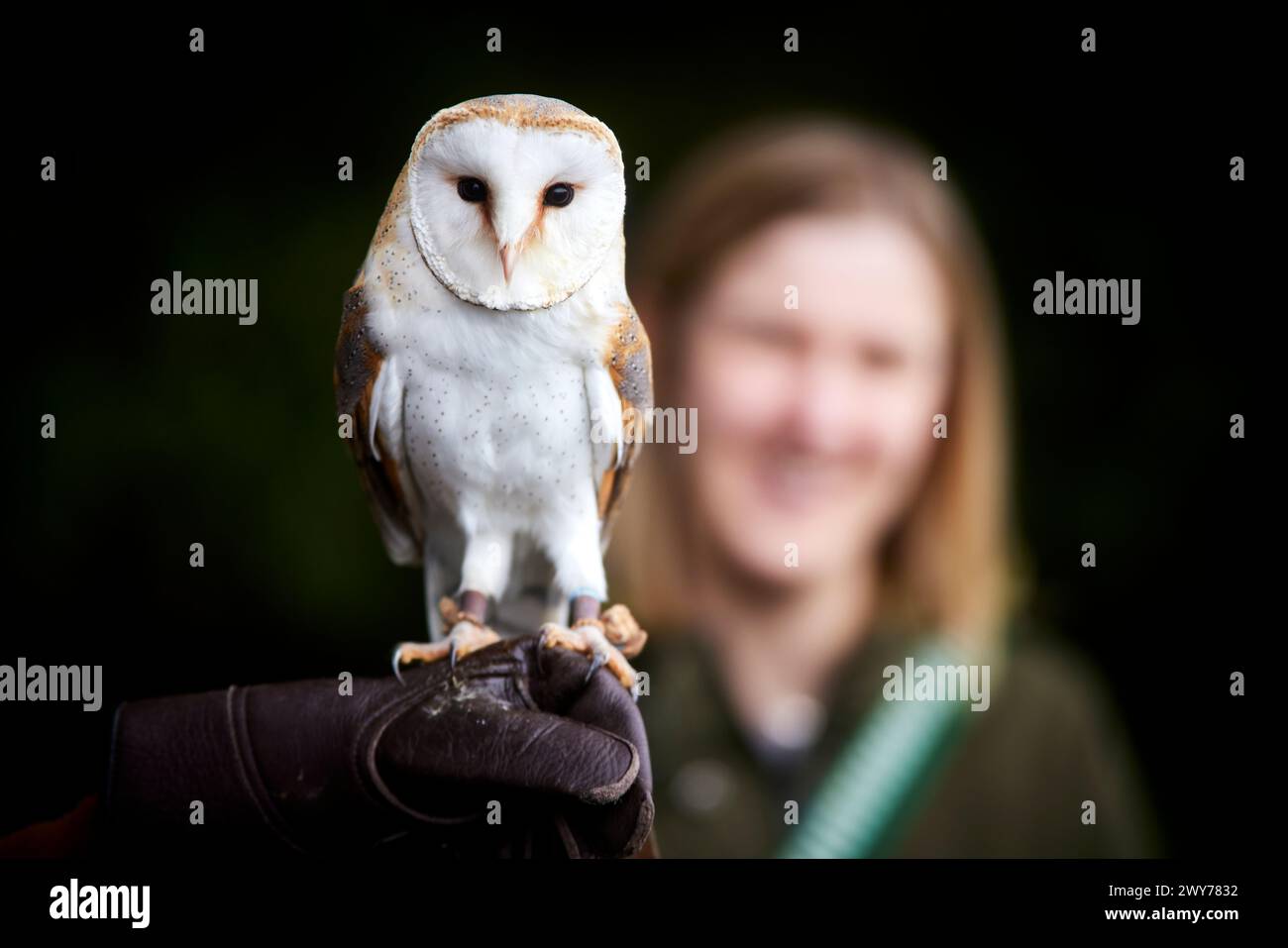 David Wilson Homes has made a donation to Turbary Woods Owl and Bird of ...