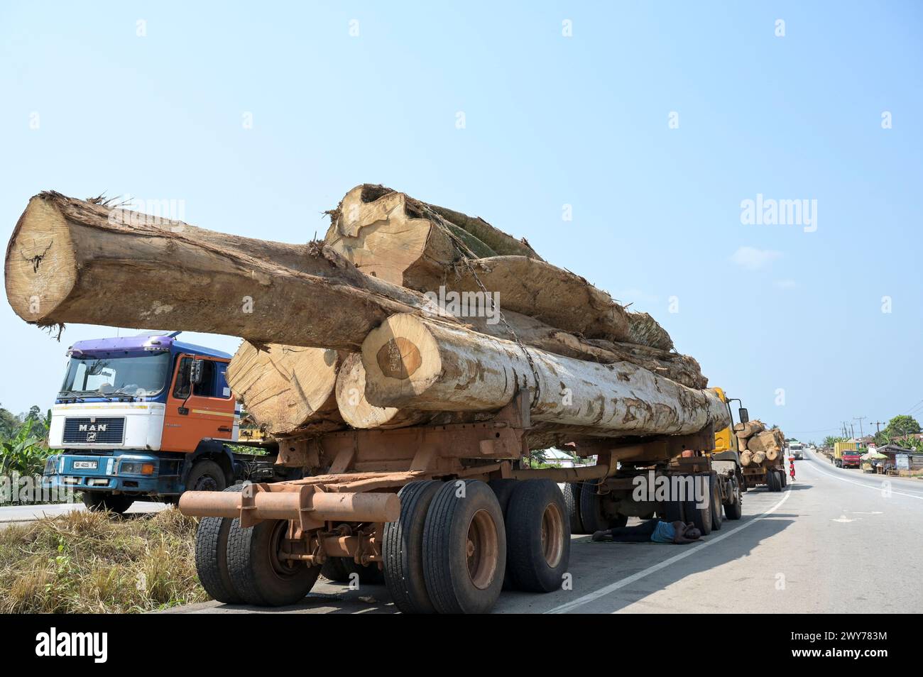 Logging truck rainforest hi-res stock photography and images - Alamy