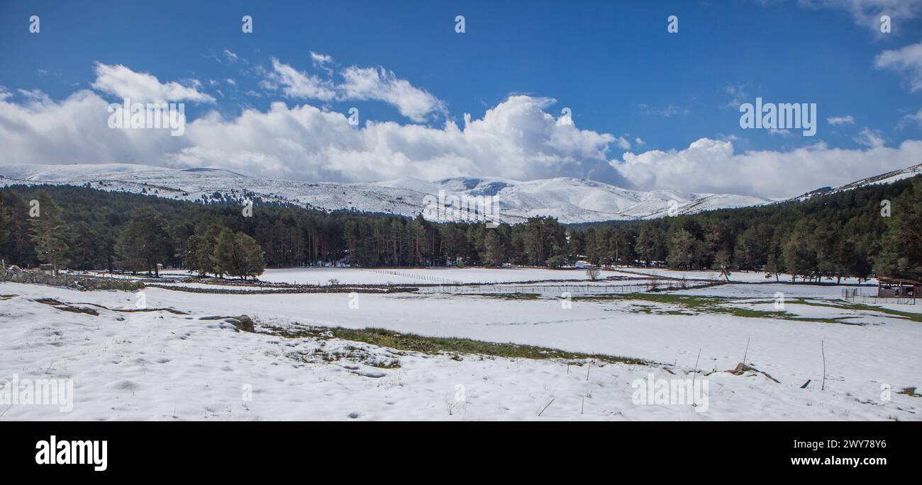 Landscape of snowy meadows in the Sierra de Gredos. Hoyos del Espino ...