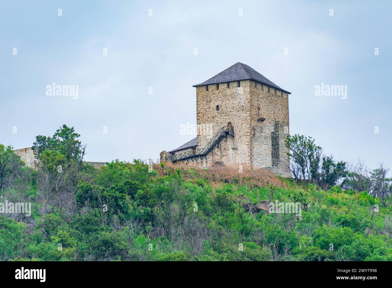 Castle of vrsac hi-res stock photography and images - Alamy