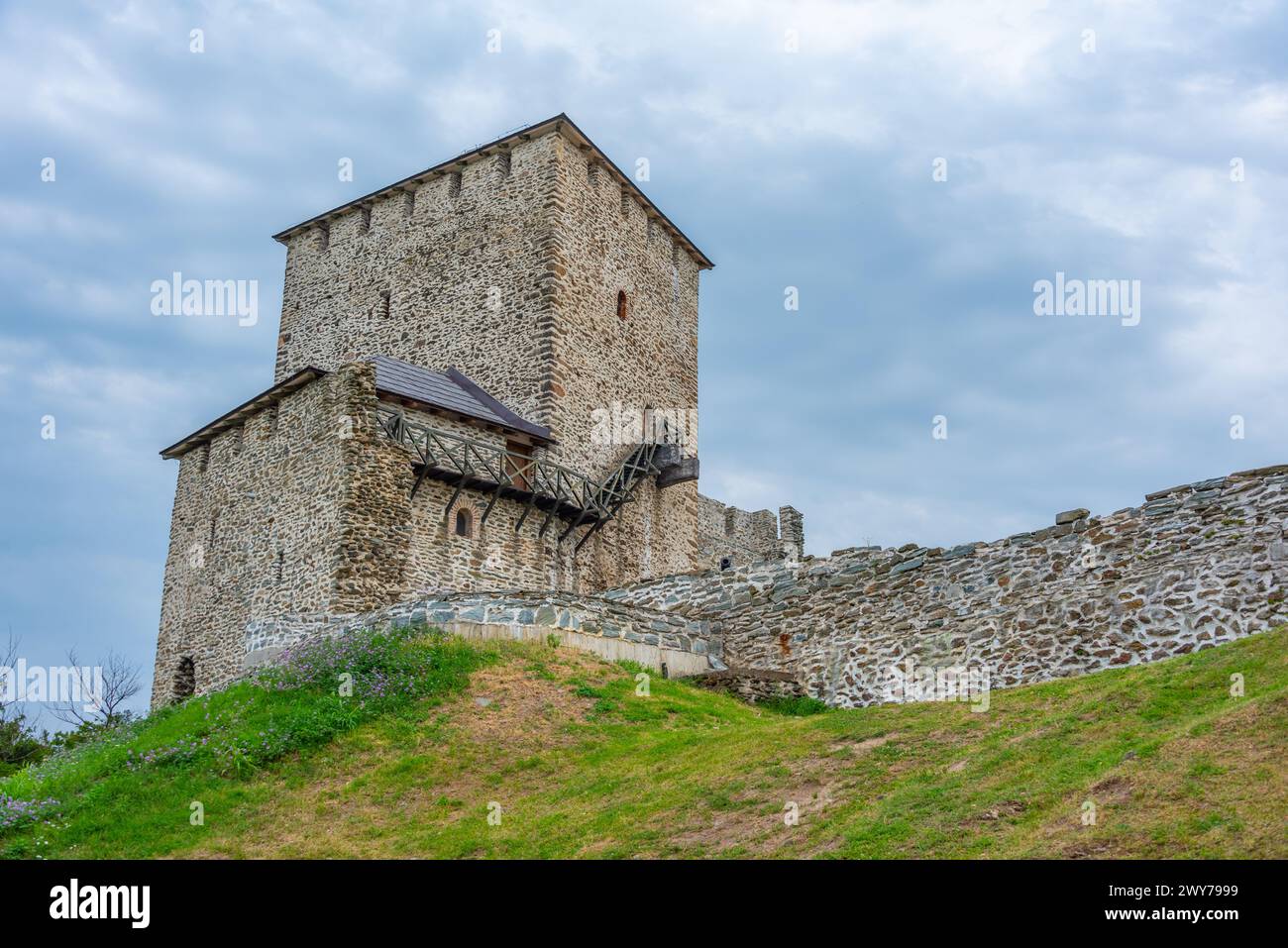 Castle of vrsac hi-res stock photography and images - Alamy