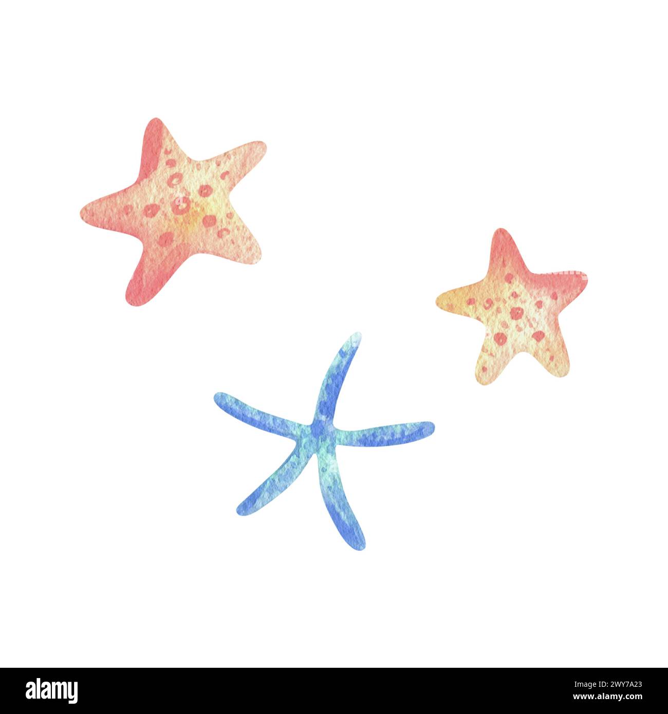 Starfish, oceanic underwater coral reef animals. Watercolor ...