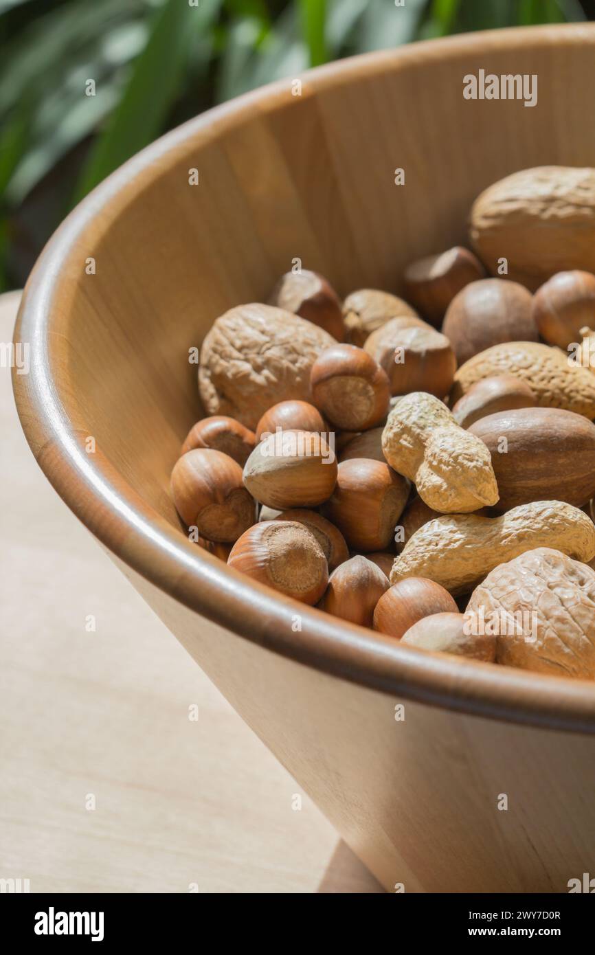 Assorted various nuts in a big wooden bowl against a leafy green ...