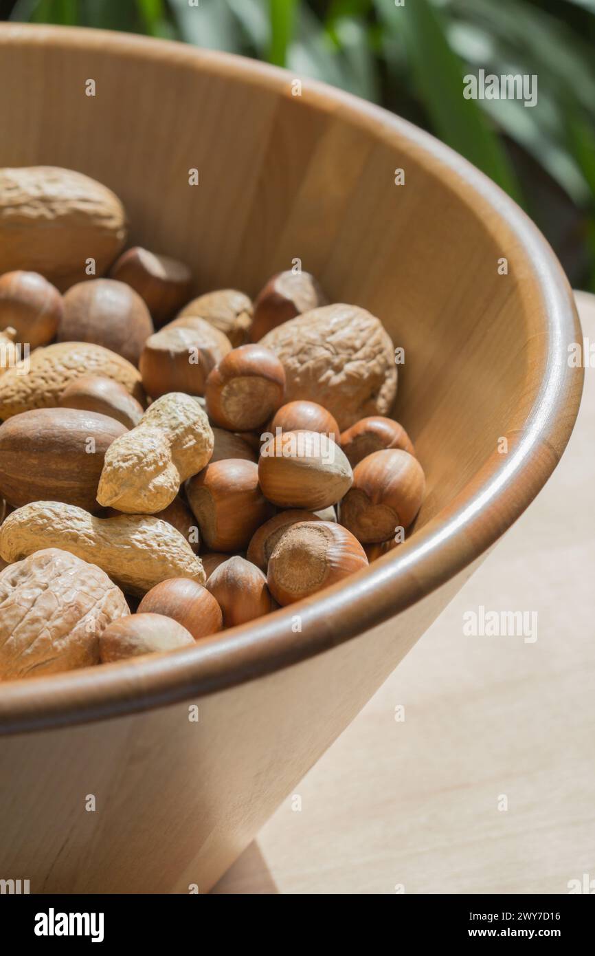 Assorted various nuts in a big wooden bowl against a leafy green ...