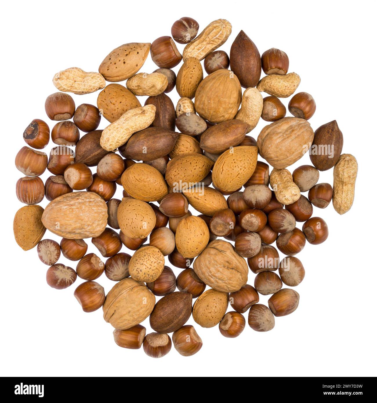 Assorted mix of nuts in shells arranged in a circle Stock Photo - Alamy