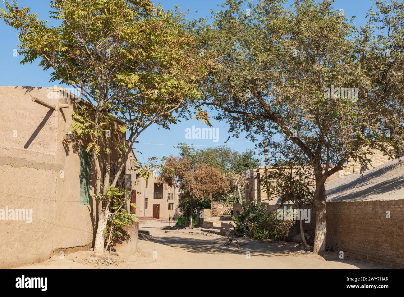 Khiva, Xorazm Region, Uzbekistan, Central Asia. Trees over a dusty alley in Khiva Stock Photo ...