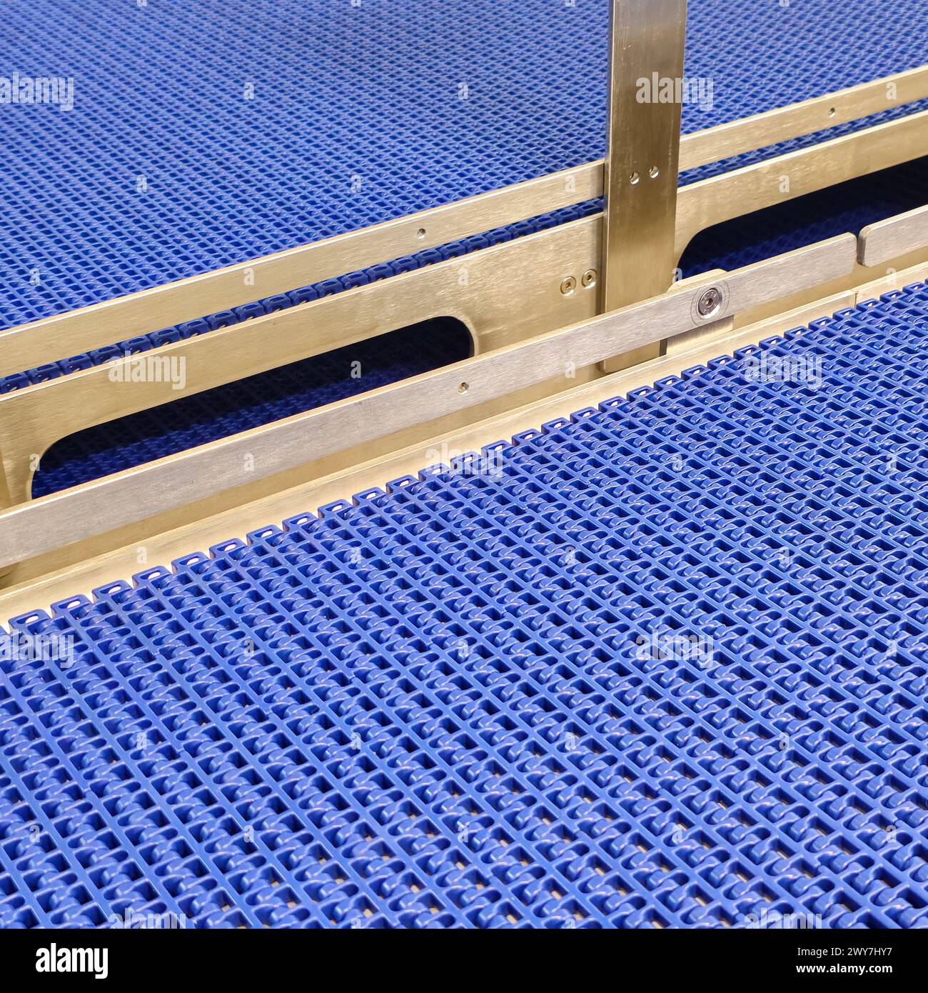A close-up of a blue polyurethane belt in modular industrial conveyor ...