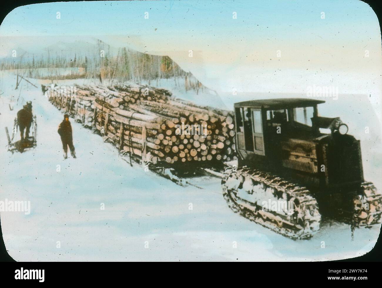 Vintage Logging Photography, 1920s. Forestry activities, Abitibi Power ...