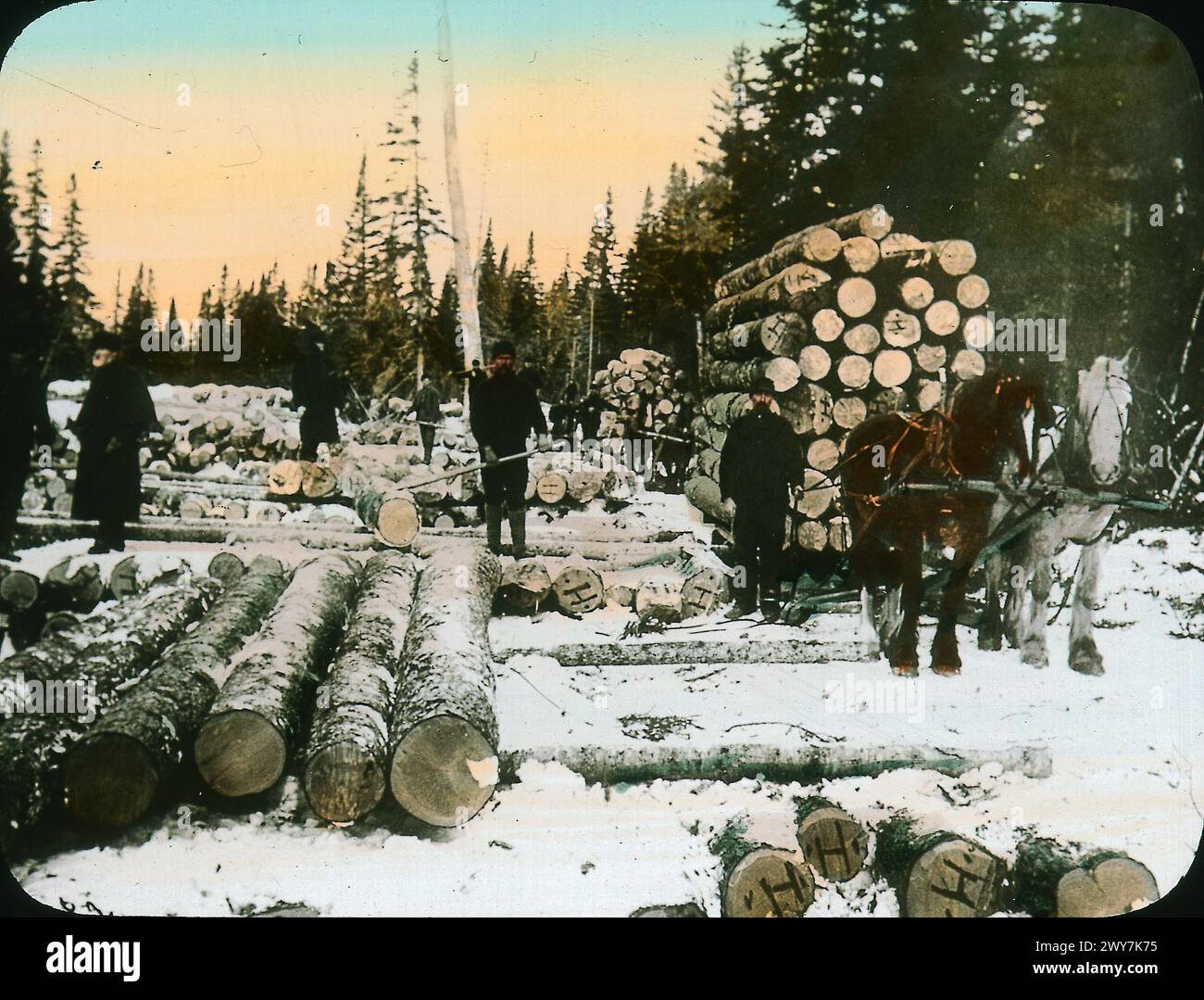 Logging 19th century hi-res stock photography and images - Alamy
