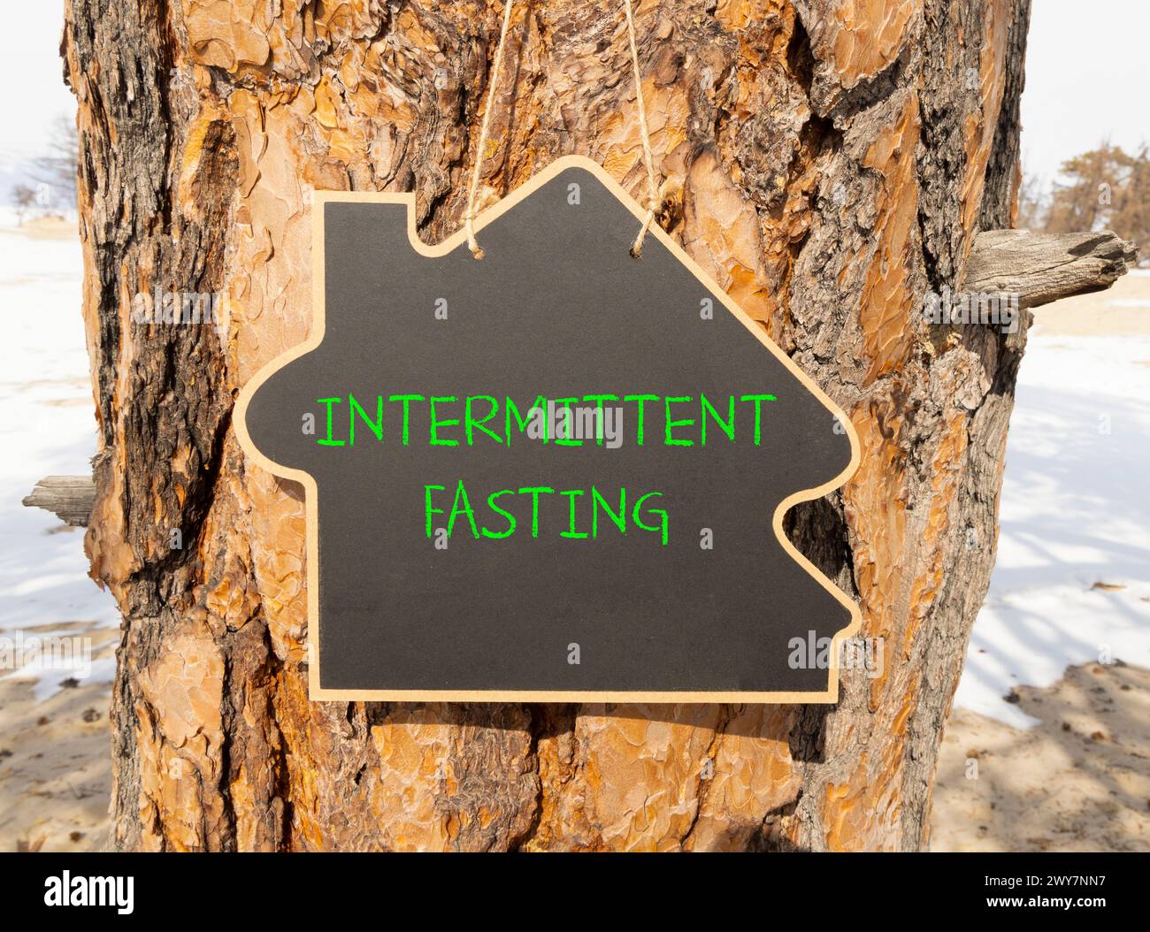 Intermittent fasting symbol. Concept words Intermittent fasting on ...