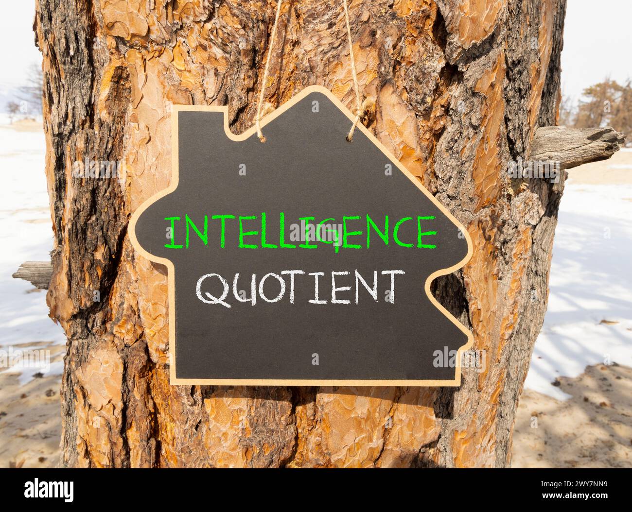 IQ intelligence quotient symbol. Concept words IQ intelligence quotient ...