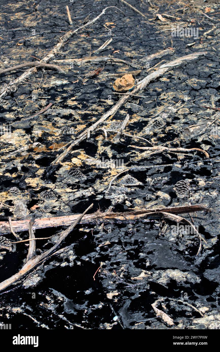 La brea tar pit hi-res stock photography and images - Alamy