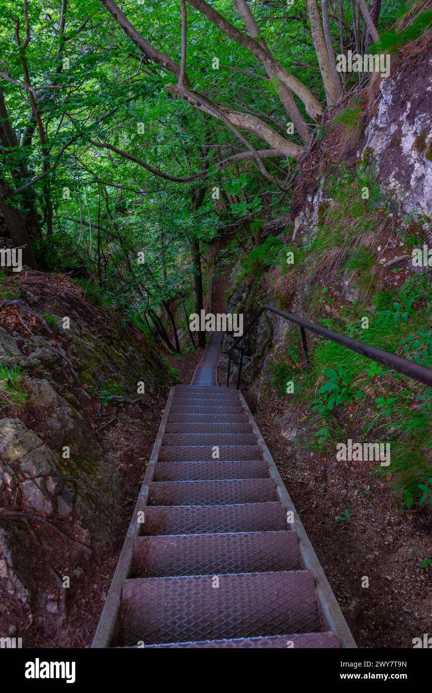 Steep staircase at a hiking trail near lake Bled, Slovenia Stock Photo ...