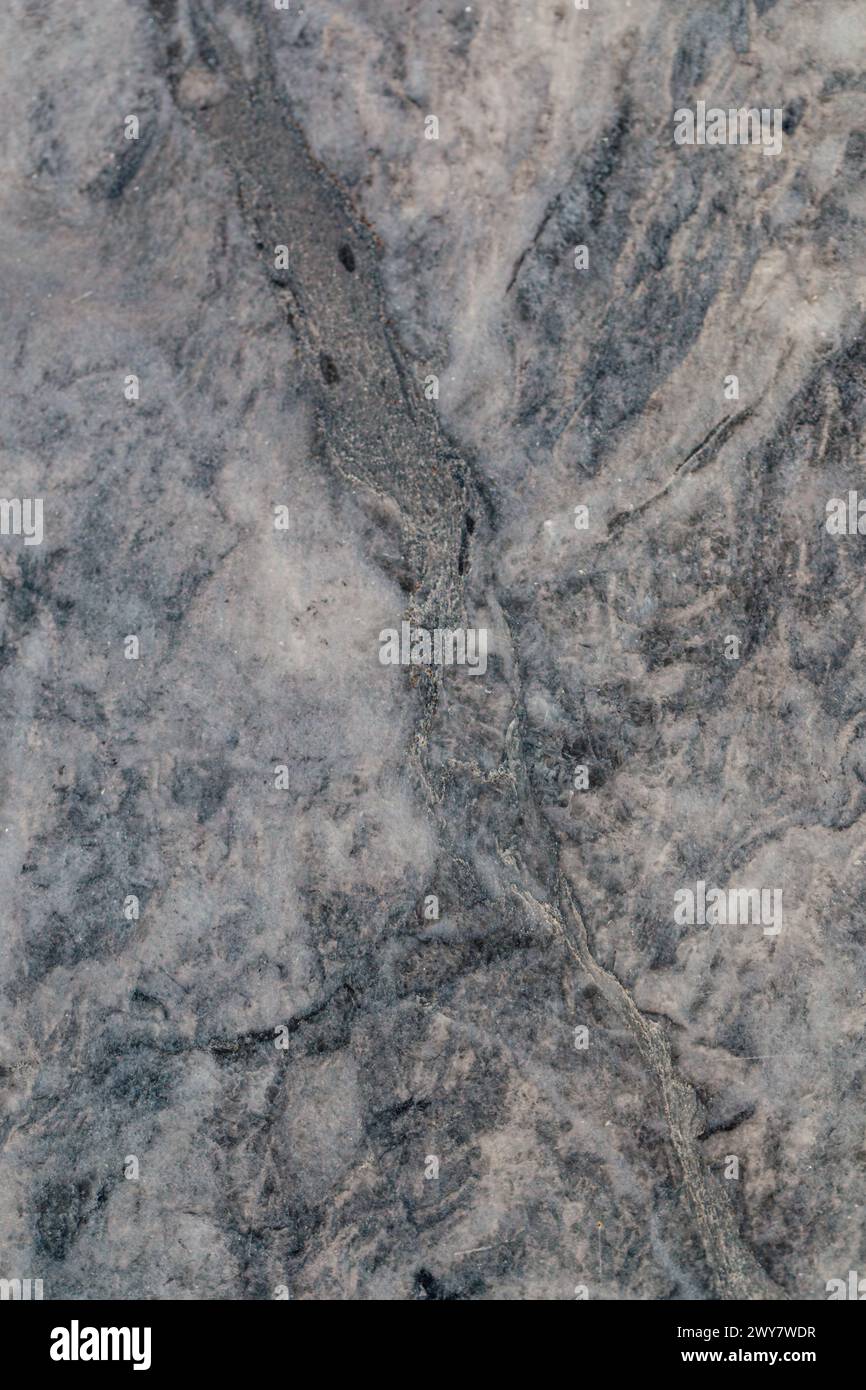 veins on grey Aliveri marble from Greece Stock Photo - Alamy
