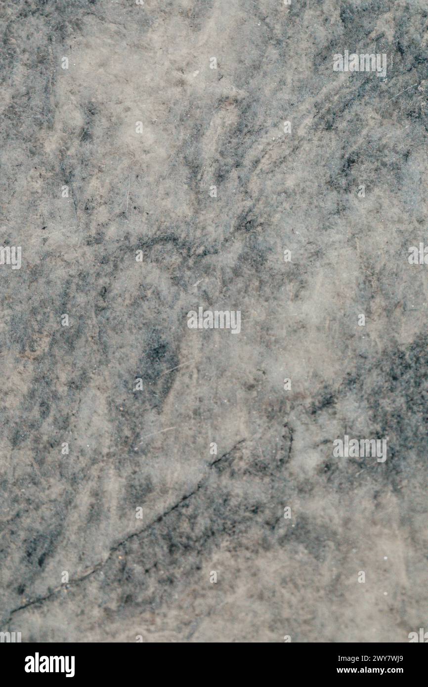veins on grey Aliveri marble from Greece Stock Photo - Alamy