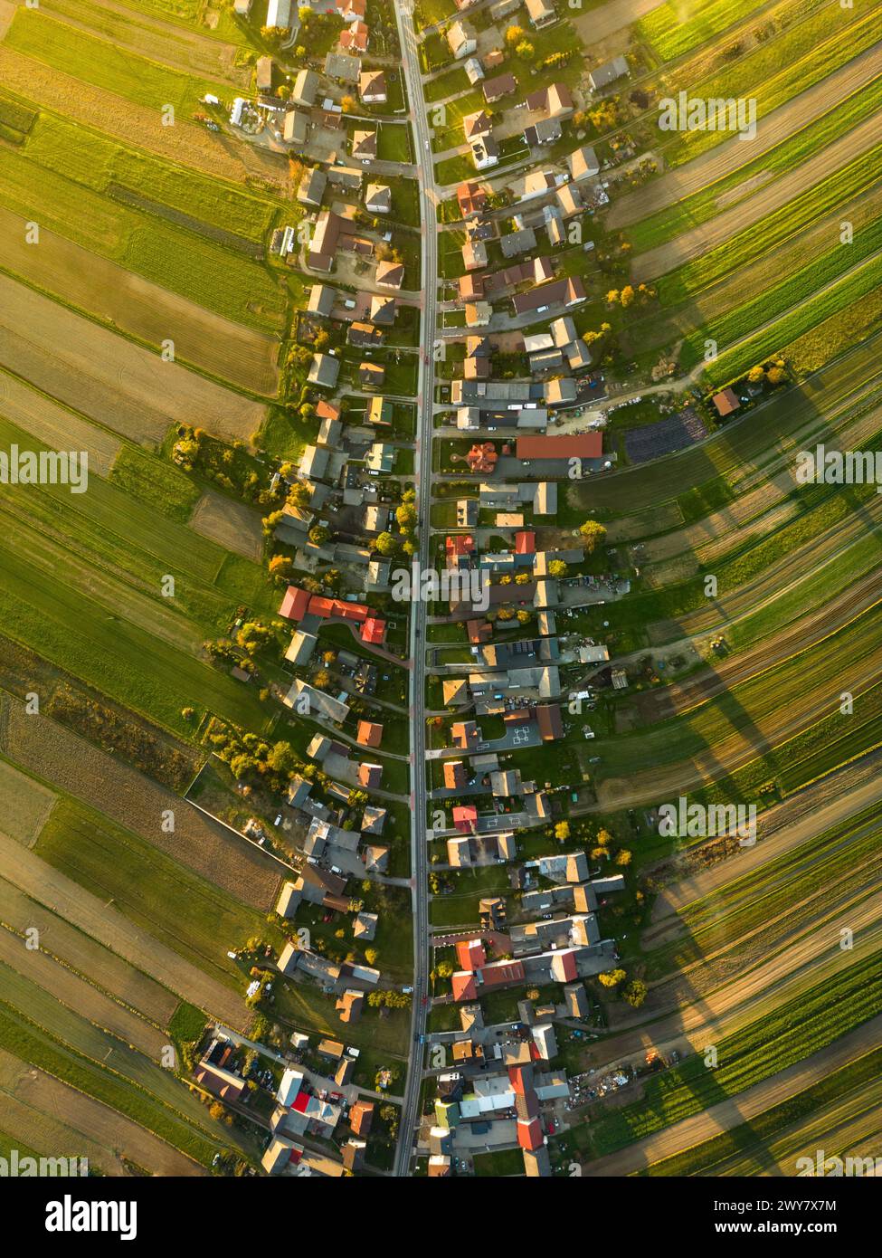 Aerial view directly from above on countryside cultivated green fields ...