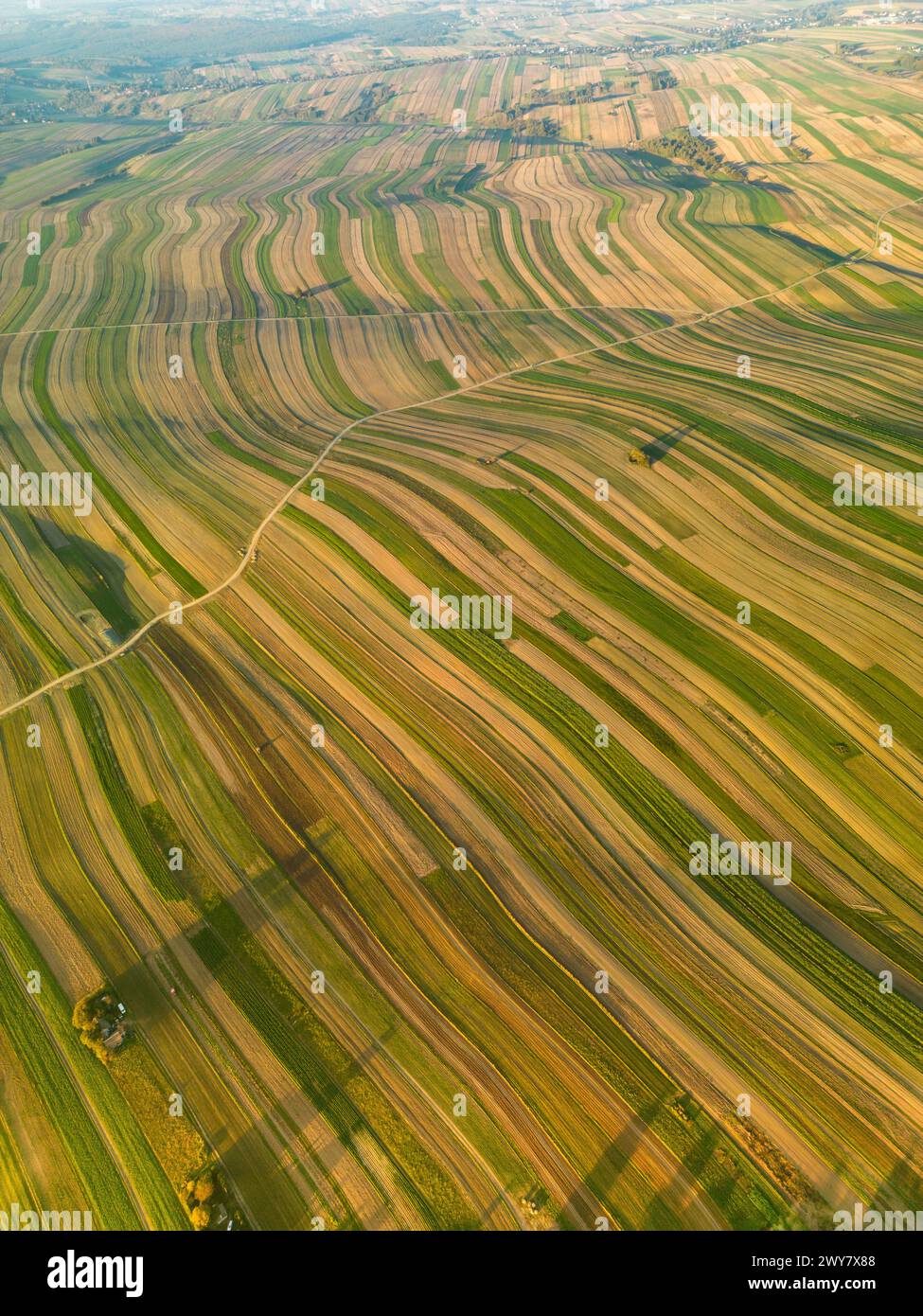 Aerial view of cultivated fields Suloszowa village, strips of plowed ...