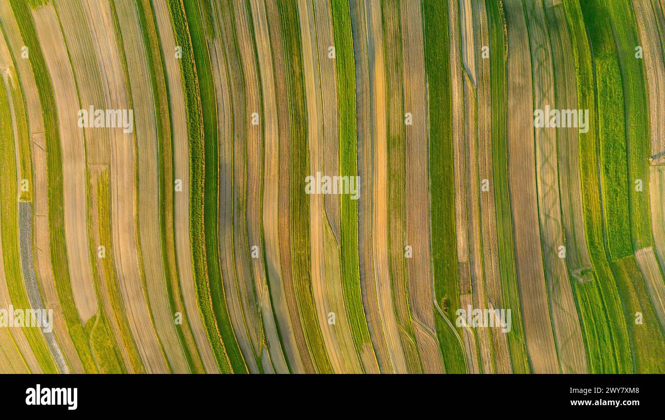 Aerial view directly overhead of agricultural field with striped ...