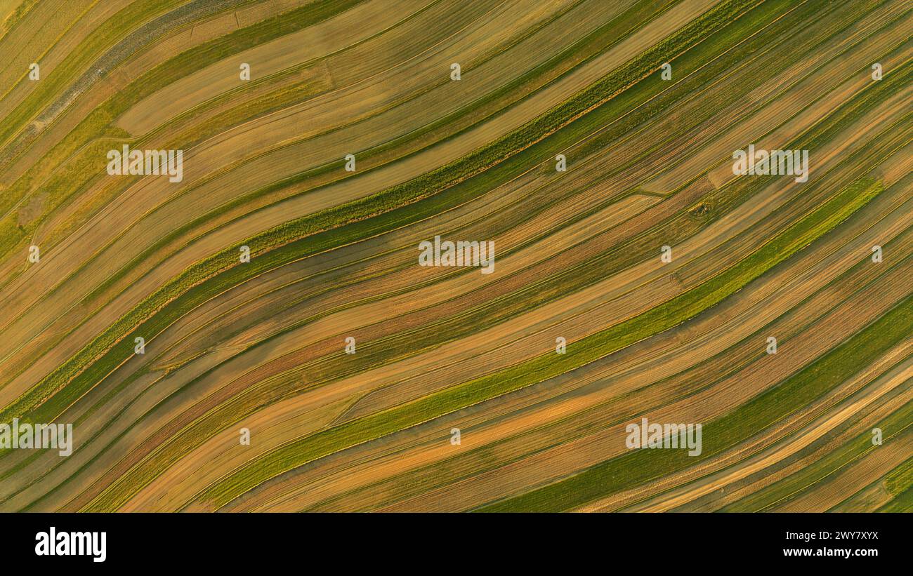 Drone aerial view of field with diagonal stripes texture and different ...