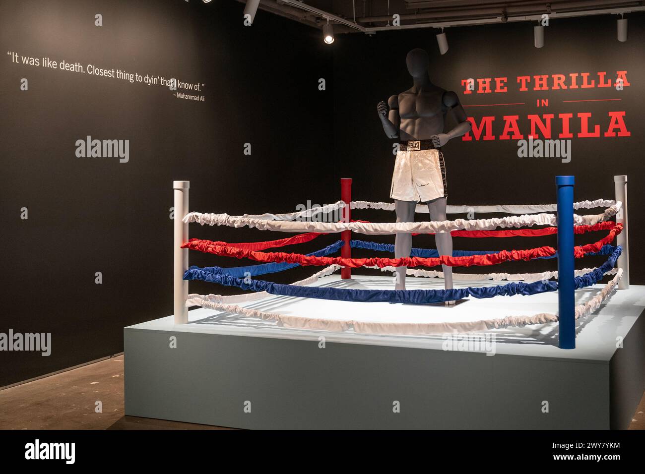 Muhammad Ali's fight worn Everlast trunks from The 'Thrilla in Manila ...