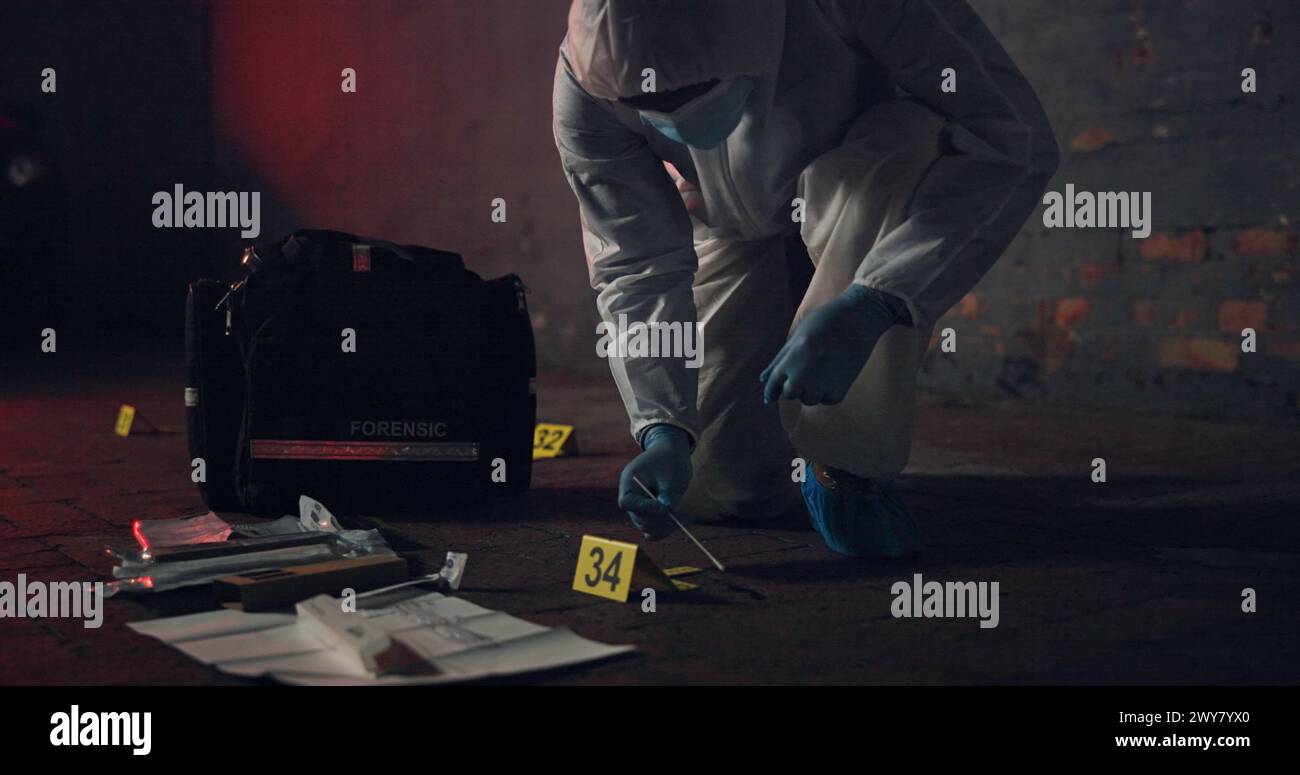 Forensic, csi and swab for dna at crime scene for medical investigation ...