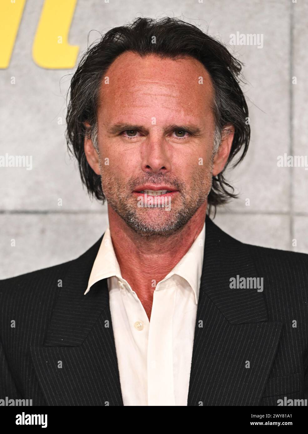 Fallout walton goggins hi-res stock photography and images - Alamy