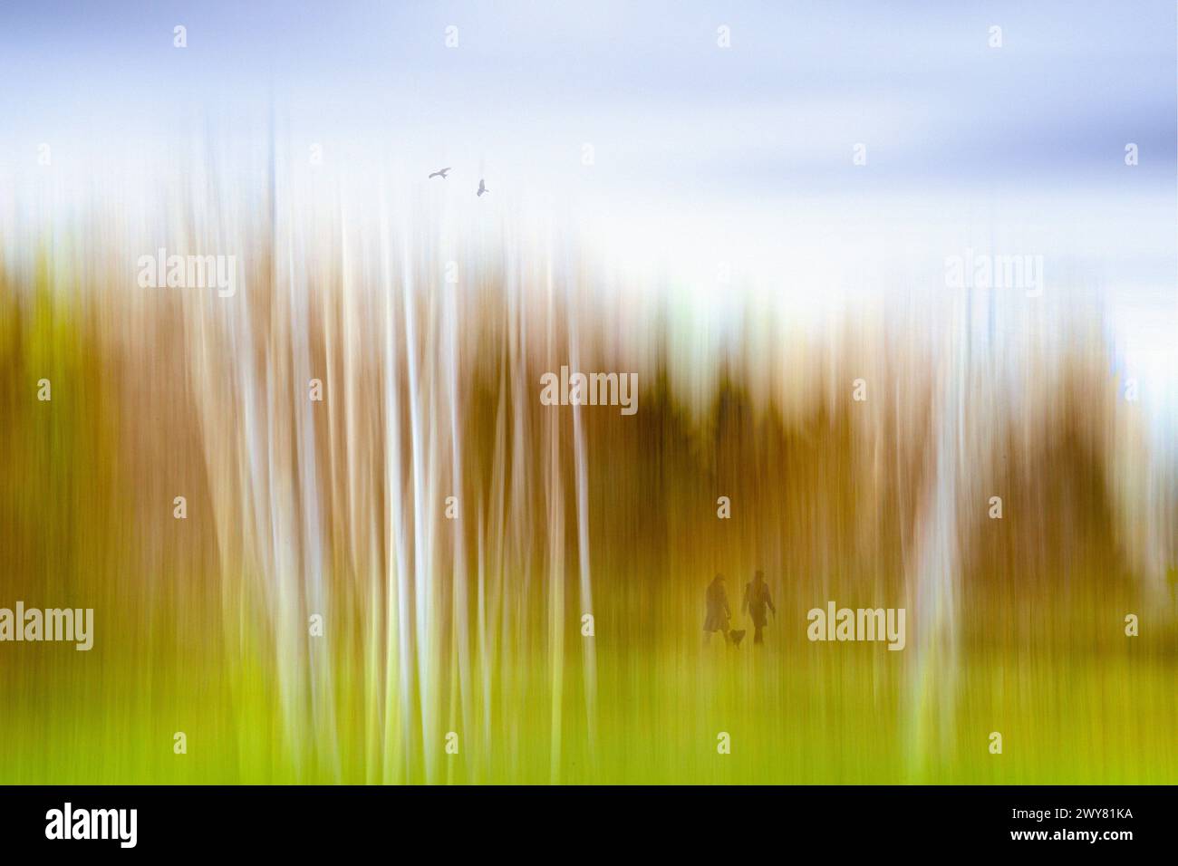 Nag006710 hi-res stock photography and images - Alamy Nag006710 hi-res stock photography and images - Alamy