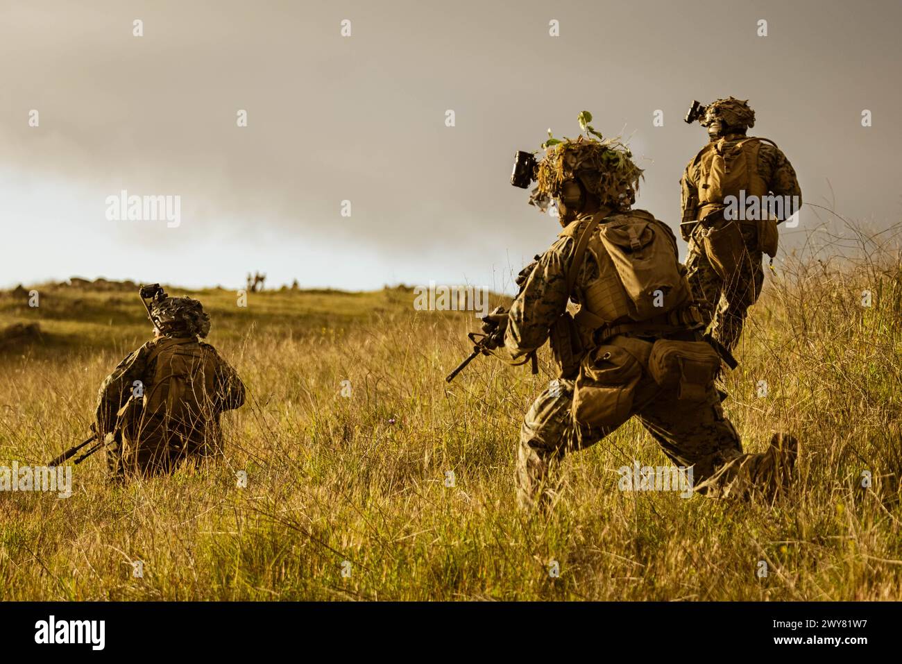 Hasty ambush hi-res stock photography and images - Alamy